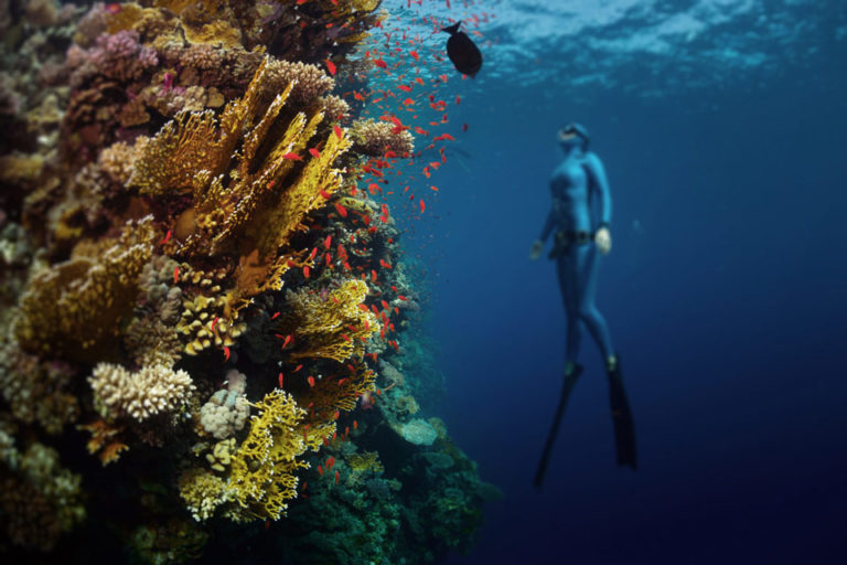 Types of Diving You Need to Know About – Boat in the Bay Blog